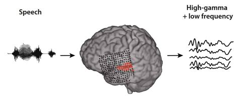 Thinking Aloud Translating Thoughts Directly Into Speech Physics World