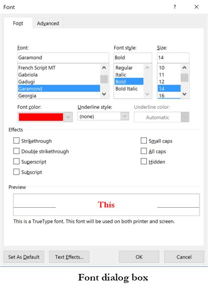 Microsoft Word Font Dialog Box