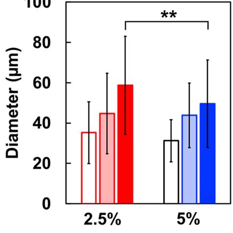 Proliferation Of Rencell Vm Cell Clusters On Laminin Coated Crosslinked