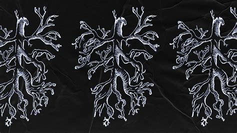 Plastic Bronchitis Symptoms Causes Treatments And More