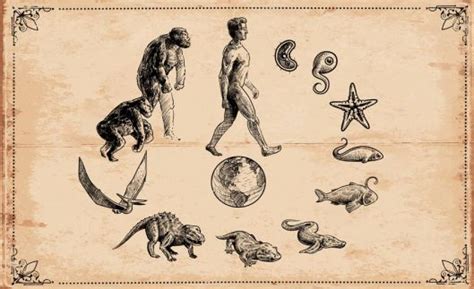 Which Theory Of Evolution Toppling The Idol Of ‘settled Science