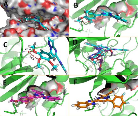Docking Poses On Egfr A 3d Structure Of 6 K B Egfr Structure With Hinge Download Scientific