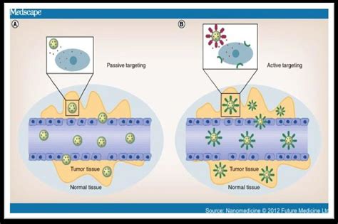 9passive And Active Targeting Nanoparticlescan Be Passively