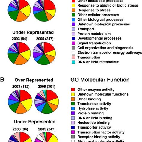 Go Classification Of Transcripts Differentially Expressed In