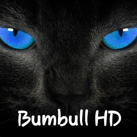 Bumbull Hd Youtube