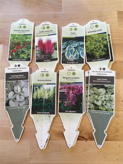 Howre These Plants Zone 3 R Nativeplantgardening