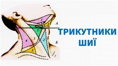 Трикутники шиї Youtube
