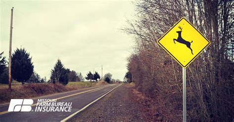 Ernie Weiler Missouri Farm Bureau Insurance Sainte Genevieve Mo