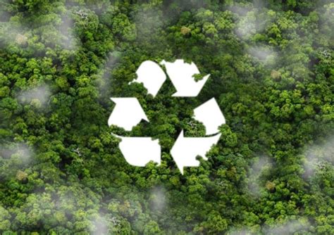 New Eu Law Sets Ambitious Ecodesign Requirements For Physical Goods