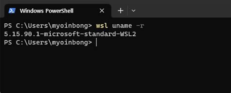 잠깐 초만 한눈을 팔면 멈춰 서는 WSL 넷마블 기술 블로그