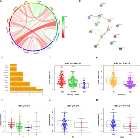 Nod2 Was The Key Immune Gene In The Tme And Acted As A Tumour