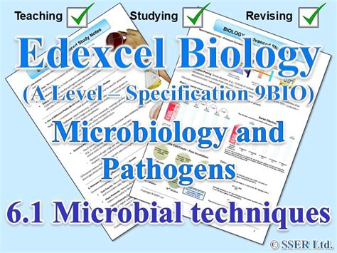 Bioaedx Topic Notes 61 Microbial Techniques Teaching Resources