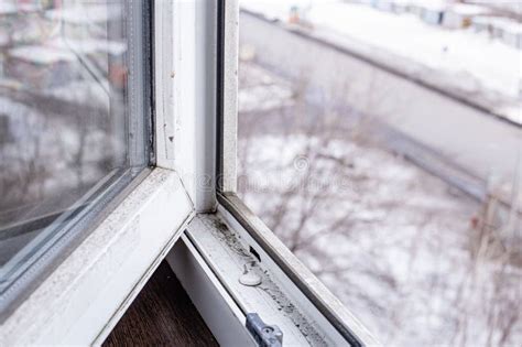 A Woman In A Rubber Glove Points To The Mold Plastic Window And Window