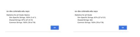 translation report should have statistics for shared strings · issue