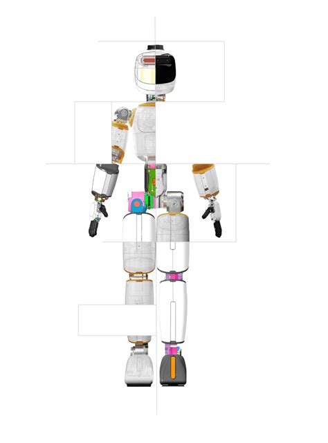 Ergocub Humanoid Robot