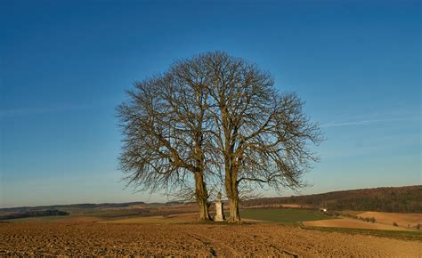 Dsc12666 Michael Gschwind Flickr