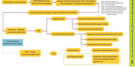 Diagnostic Lab Workflow By Center For Animal Health And Food Safety