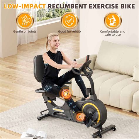 Best Recumbent Exercise Bike For Heavy People 2025