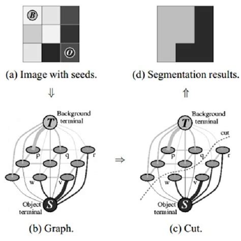 Segmentation Model Diagram Download Scientific Diagram