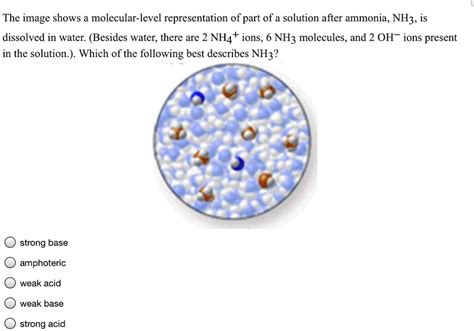 Solved The Image Shows A Molecular Level Representation Of Part Of A