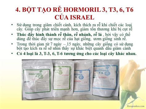 GIỚI THIỆU CÔNG TY TNHH KHANG NGỌC KHÁNH Minigarden Việt Nam