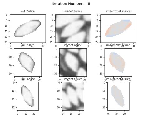 tutorial discrete image correlation — spam documentation