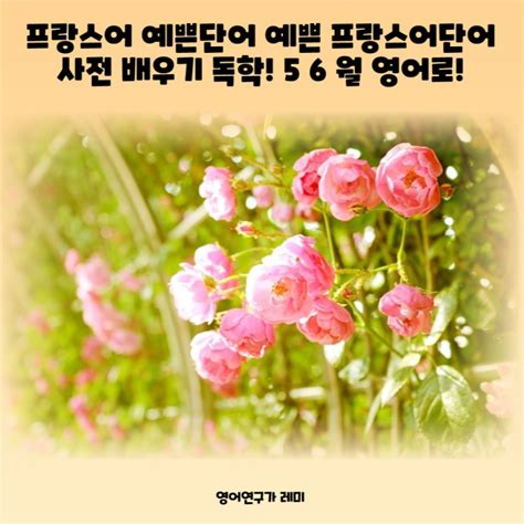 프랑스어 예쁜단어 예쁜 프랑스어단어 사전 배우기 독학 5 6 월 영어로 네이버 블로그 프랑스어 예쁜단어 예쁜 프랑스어단어 사전 배우기 독학 5 6 월 영어로 네이버 블로그