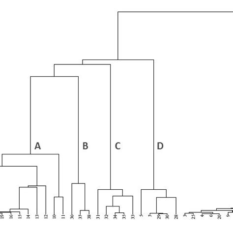 Dendrogram Of The Numerical Classification Of The Ruderal Communities