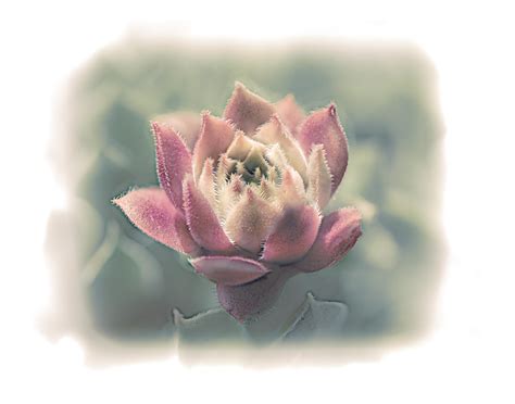 9ds0913 Edit Edit 3 John West Flickr