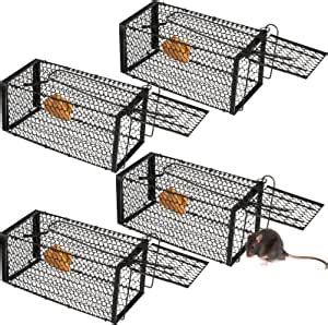 Amazon.com : Humane Rat Trap Chipmunk Squirrel Rodent Trap Foldable Mouse Trap Small Live Animal ...
