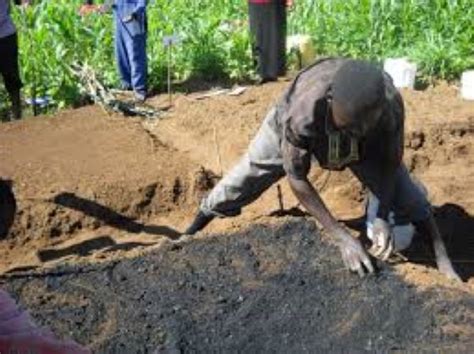 Low Cost Method To Improve Agricultural Output And Sequester Carbon