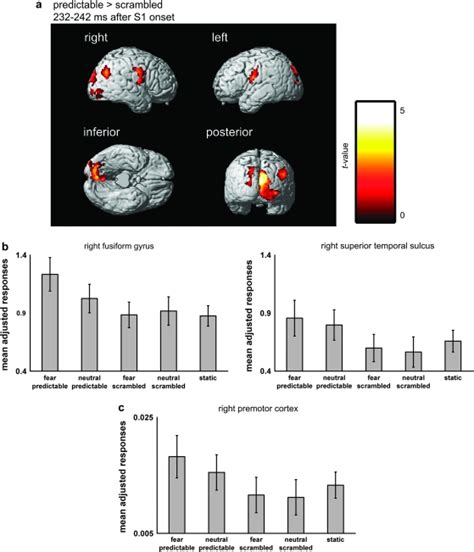 Source Space Effects Around 237 Ms A Statistical Parametric Map Of Download Scientific