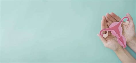 The Role Of The Uterine Microbiome In Conception And Fertility