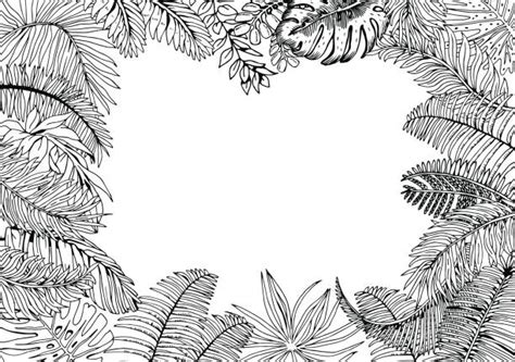 Jungle Background Clipart Black And White