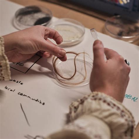 Franklintill Lists Nine Principles For A Shift To Regenerative Materials