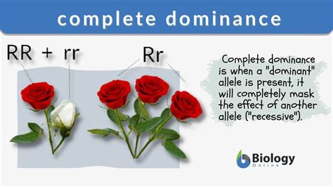 Biologia Dominante
