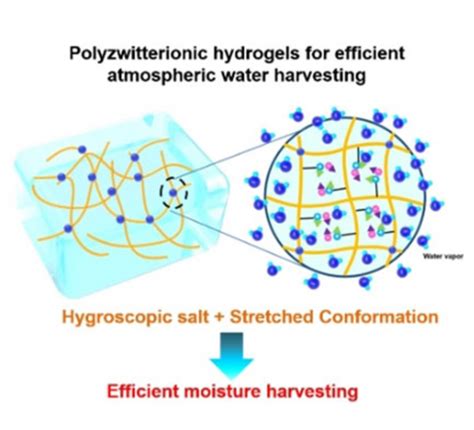 Polyzwitterionic Hydrogels For Efficient Atmospheric Water Harvesting Lei 2022 Angewandte