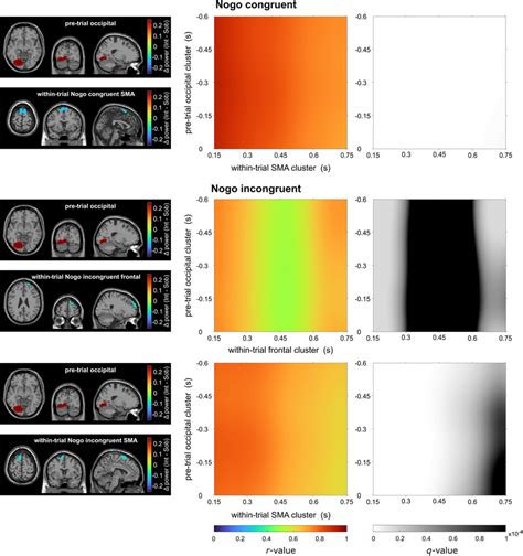 Illustration Of The Intoxication Effect In Nogo Trials On The