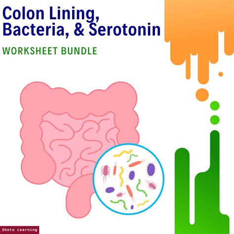 Bacteria And Viruses 7th Grade Science Worksheets And Answer Key Worksheets Library