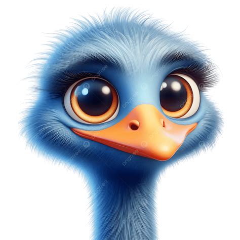 Cute Cartoon Ostrich With Big Eyes Eyes Clipart Cute Clipart Cartoon