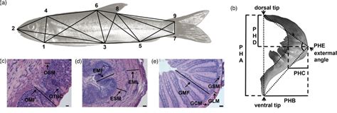 Reference Figures For Quantitative Indicators A Quantitative