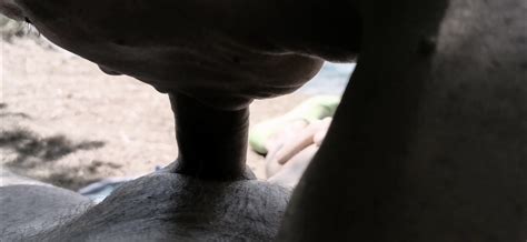 Public Beach Horny Wife Blowjob Eporner