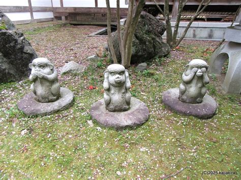 春、胎内市の古刹・乙宝寺を散策 加持顕の日々是新潟