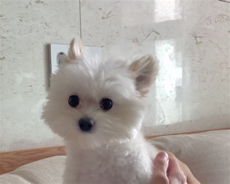 단비 Narang Sex Haza Twitter