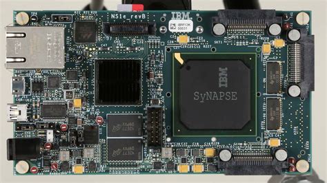 IBM Has Built A Digital Rat Brain That Could Power Tomorrows Smartphones