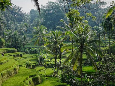 Australians Warned After Bali Sex Laws