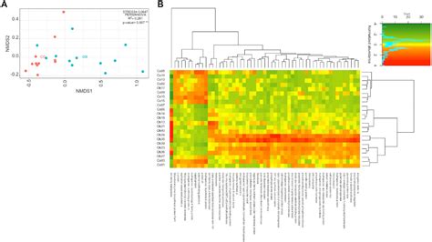 Duodenal Metatranscriptomics To Define Human And Microbial Functional