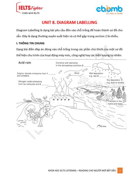 Unit 8 Diagram Labelling Pdf