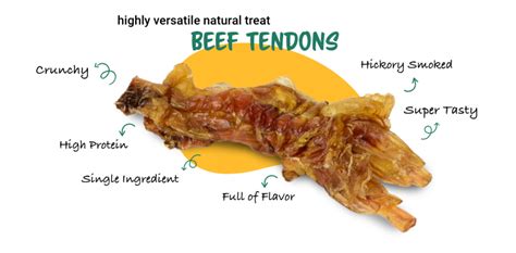Beef Tendons 101