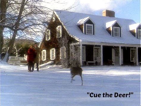 Funny Farm Movie Quotes Resolutenessme